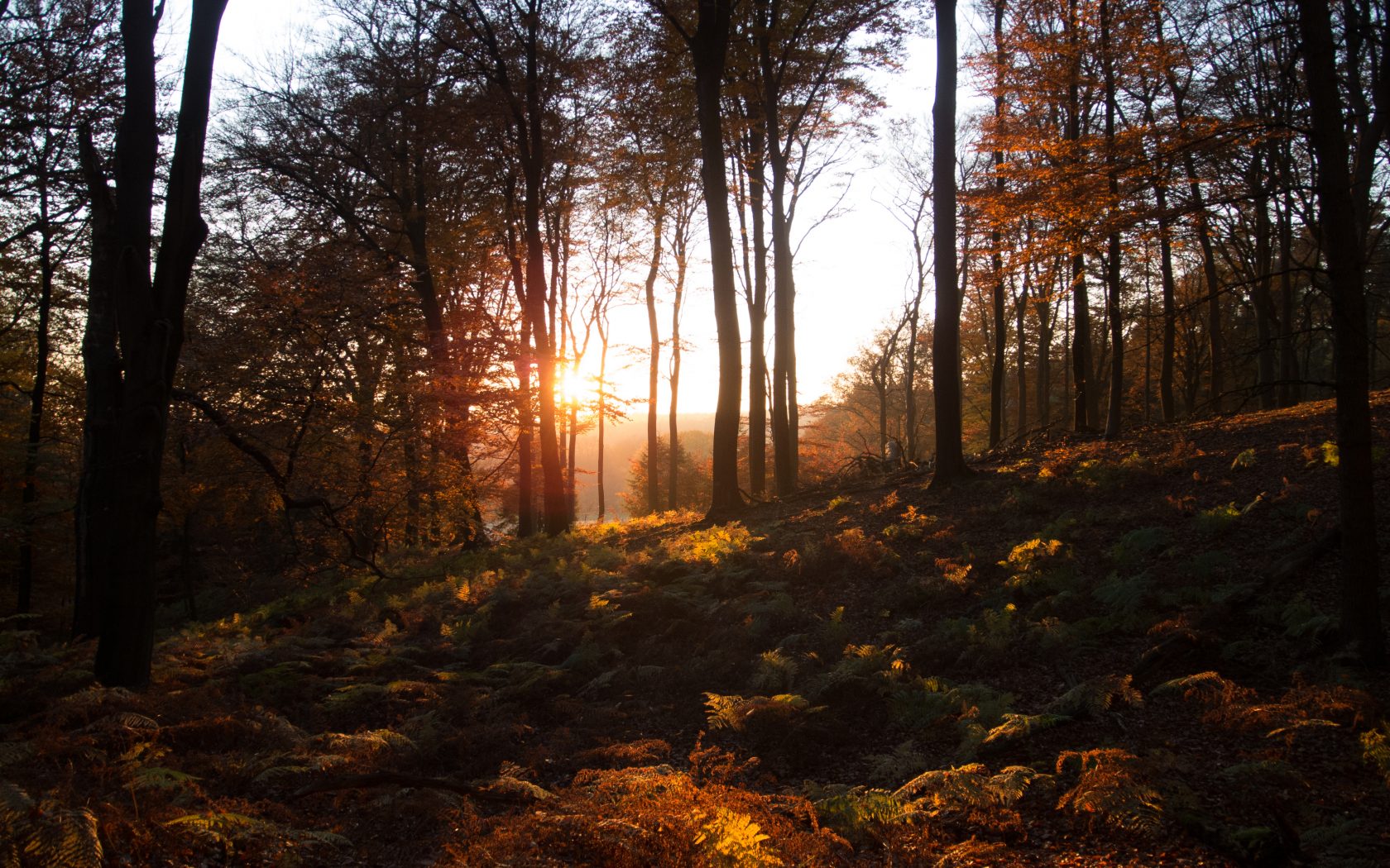 Frisse Lucht - hemelsbreed